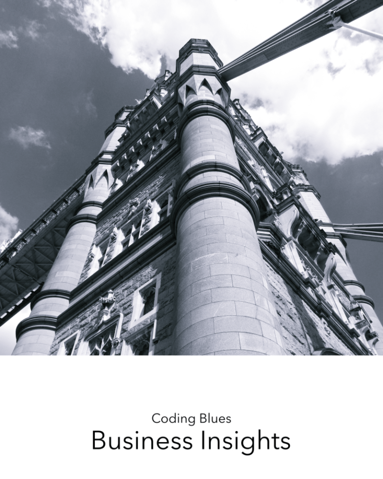 Rise With Sap Methodology Introduction Coding Blues 4550